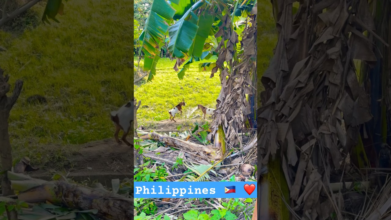 A Special Message From Chef Ricardo