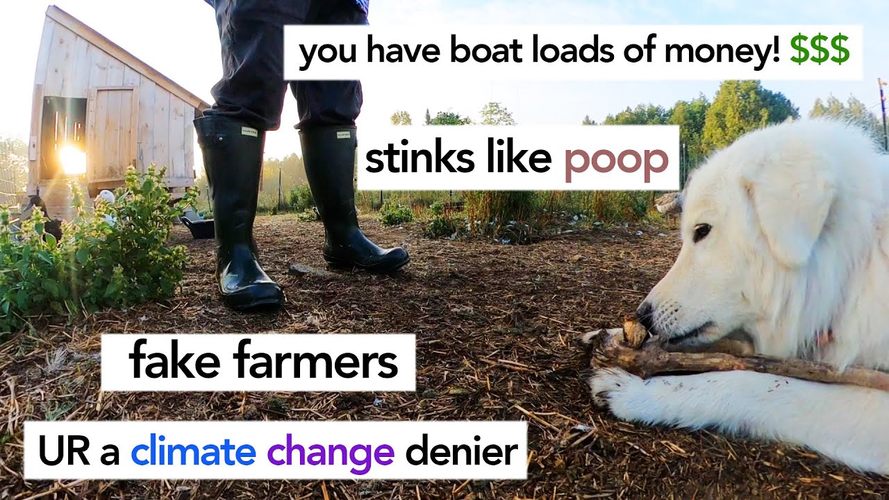 Answering your assumptions and questions about modern farmers