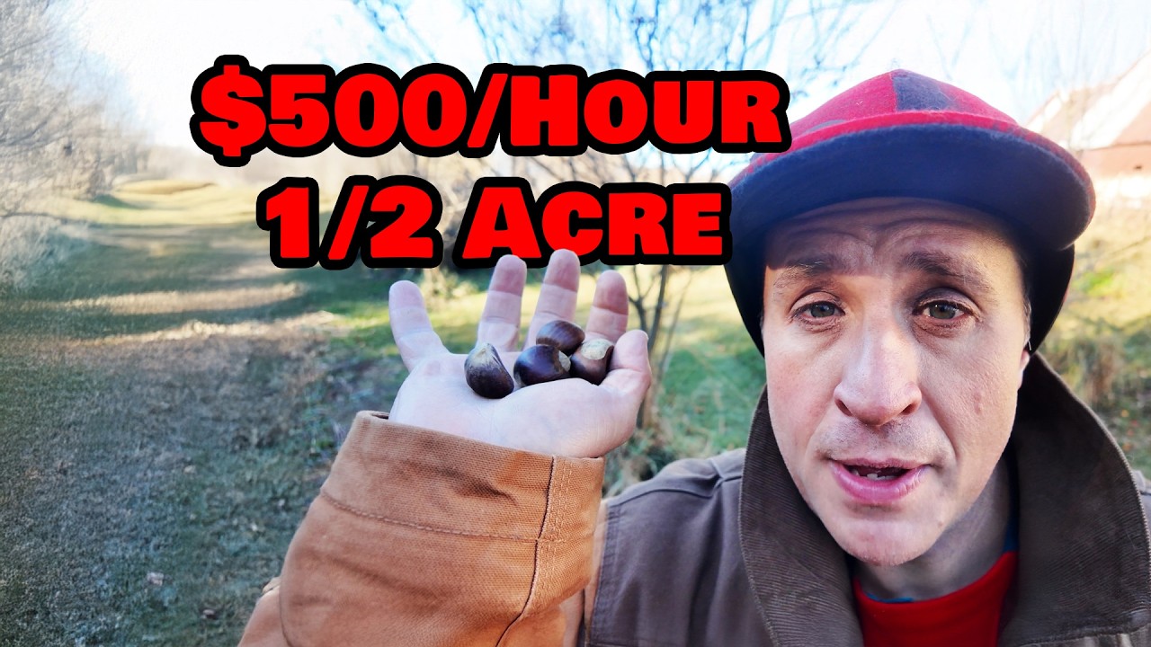 How I Make $500 an Hour Growing Trees on a Half-Acre Farm