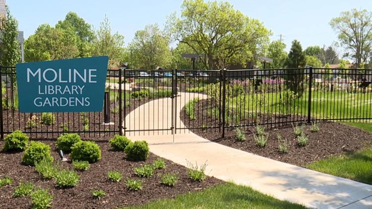 Moline Library Gardens officially open to the public