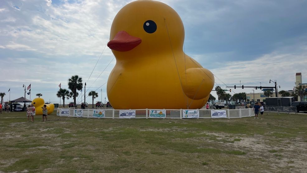 World's largest rubber duck makes splash in Myrtle Beach