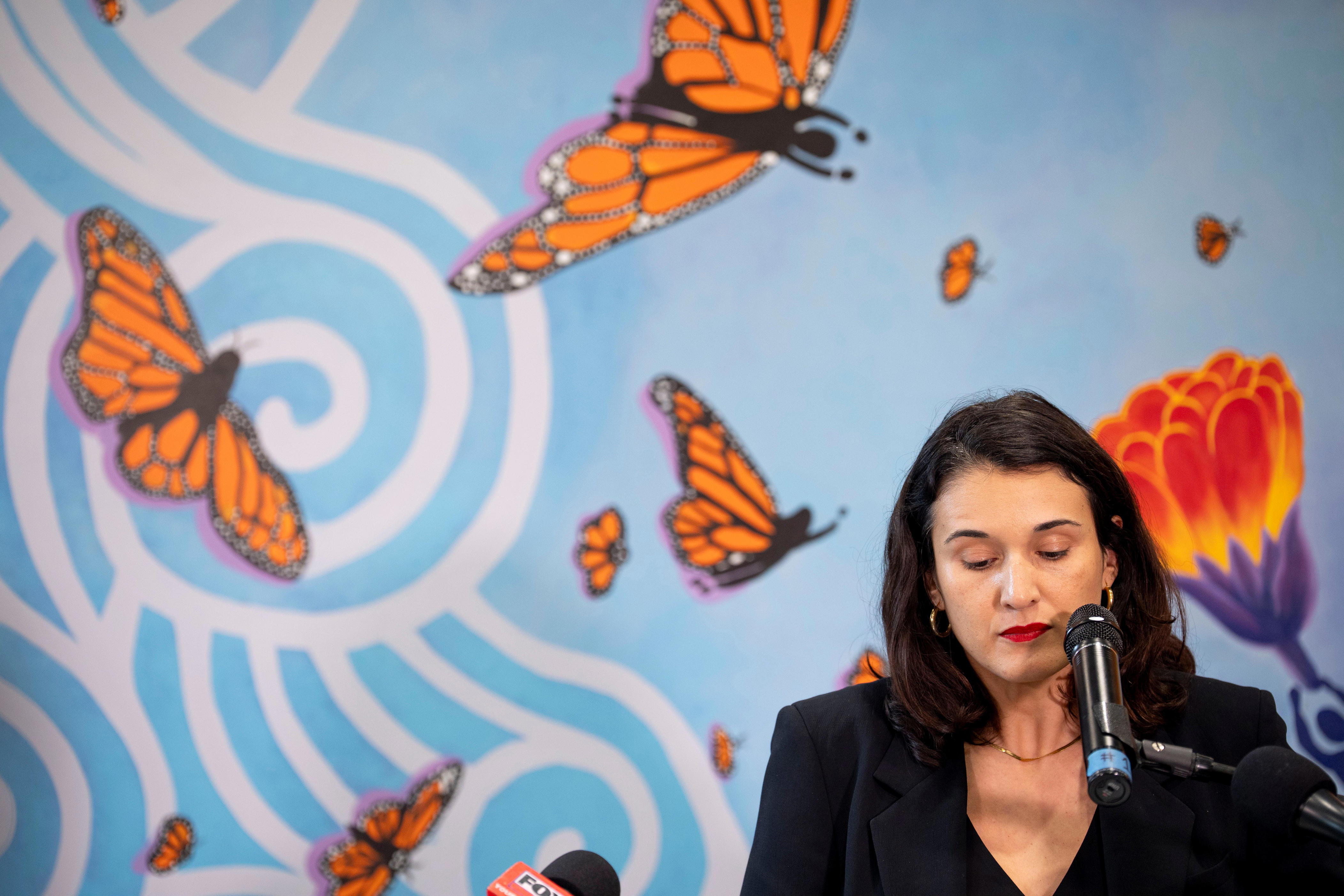 GOP immigration bills propose host of new verification requirements