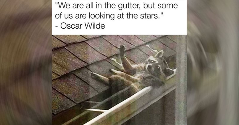 32 Memes For the Modern Meme Consumer