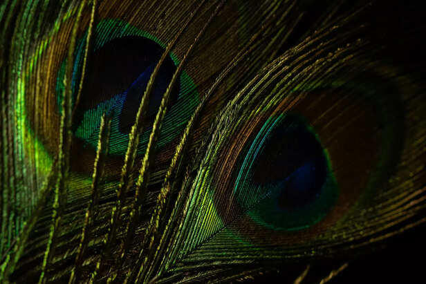 The Curse of Being ‘Nice’: Why Krishna Said It’s Okay to Say No