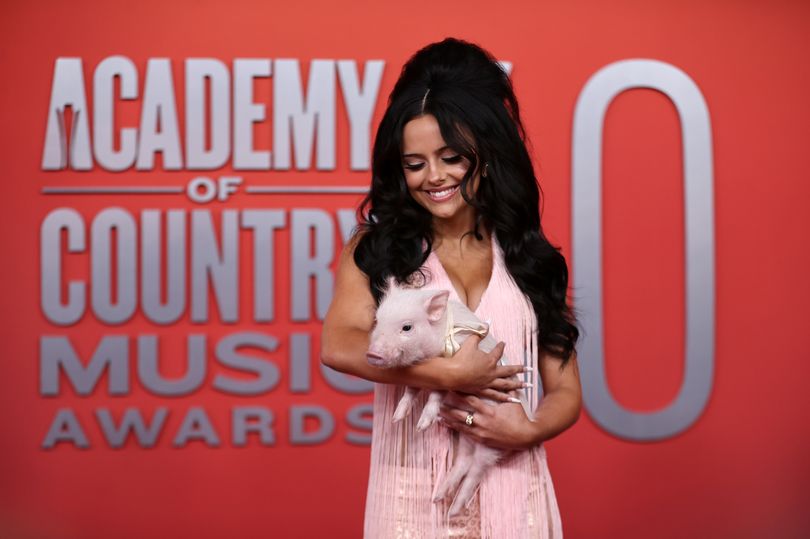 Pig goes viral during country singer's interview at the Academy of ...