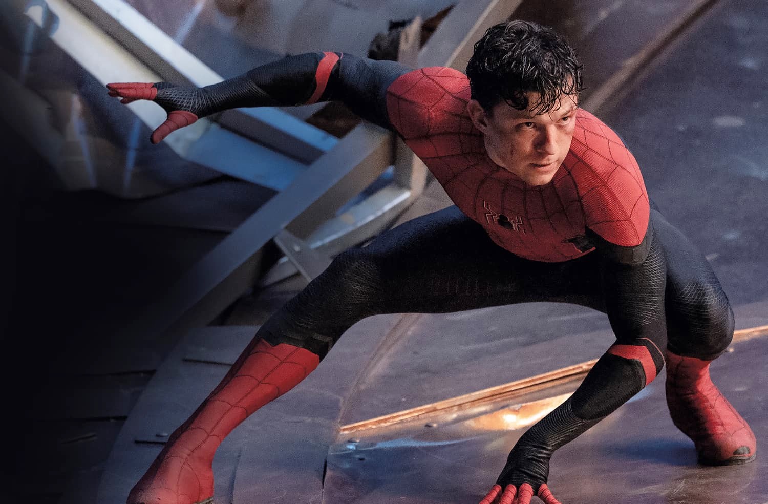 Fan-Favorite Star From 'The Bear' Cast in 'Spider-Man 4'