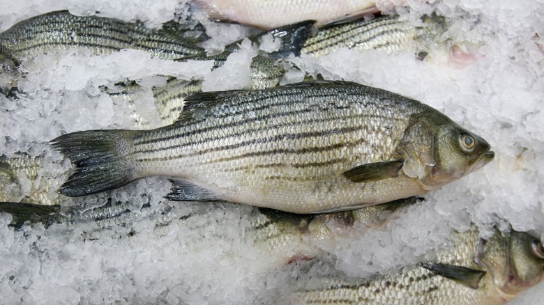 How To Make Fish Taste Less Fishy