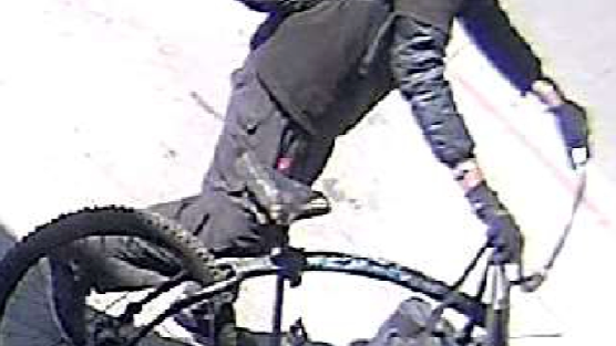 Man who allegedly hacked downtown LA trees with a chainsaw ordered to ...