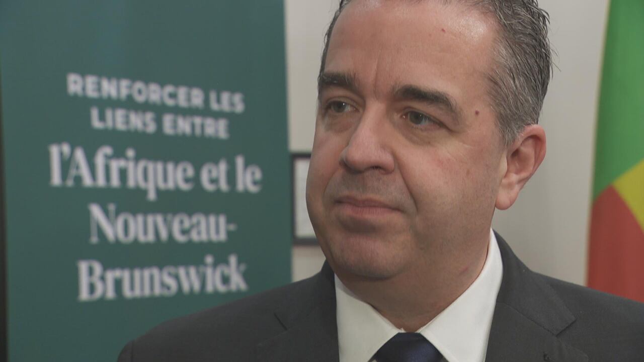 N.B. to seek exemption on federal immigration targets, minister says