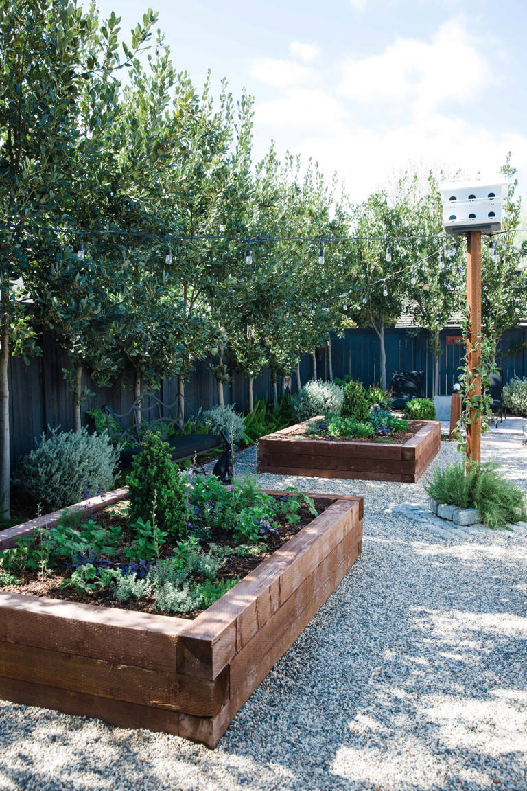 10 Garden Screening Ideas That Will Create Boundaries, Hide Eyesores ...