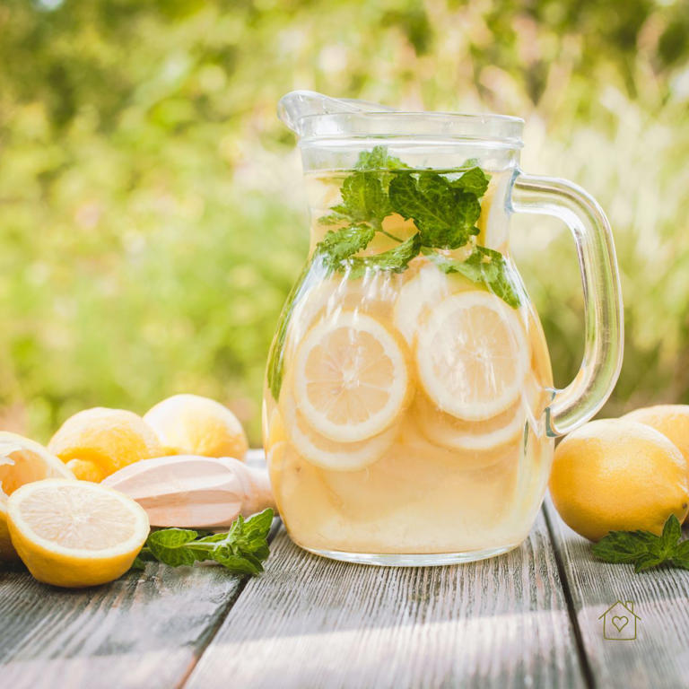 Why drinking water is essential for a productive day