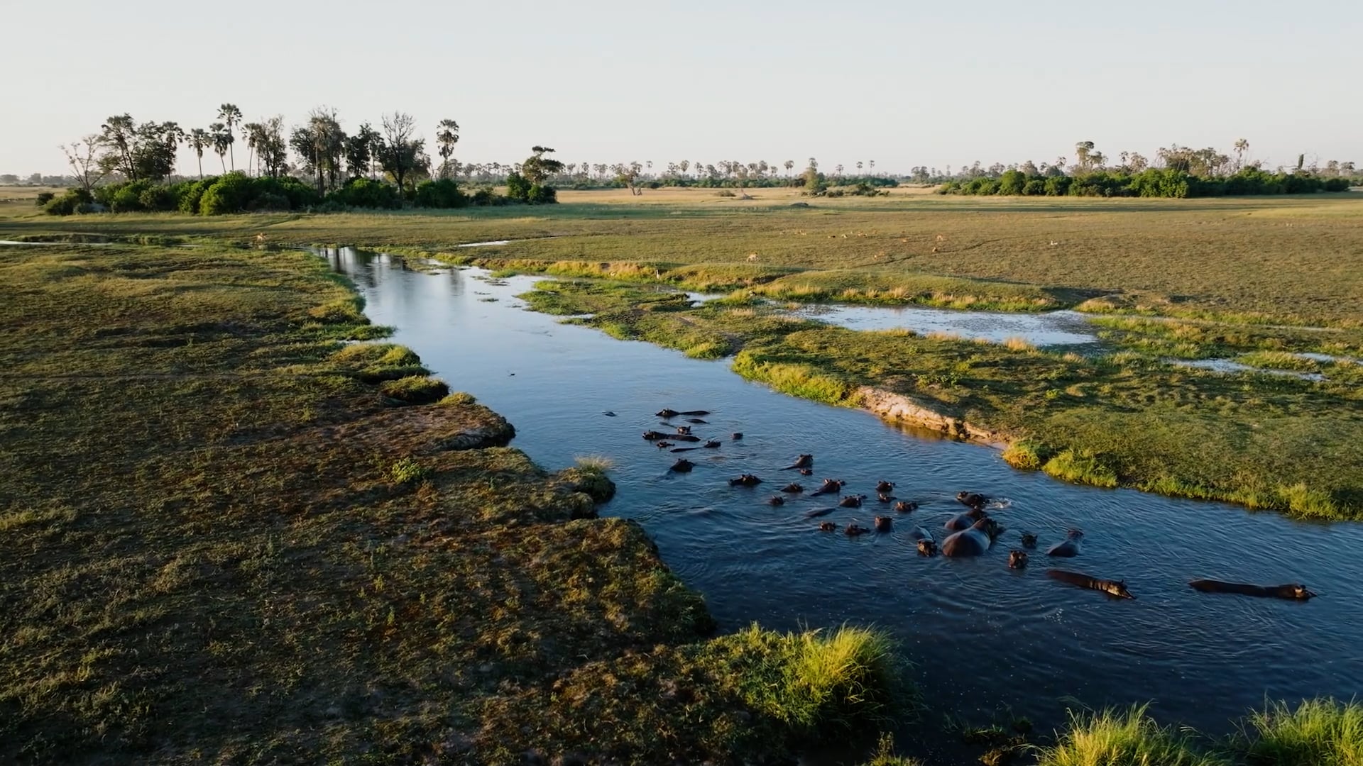 Delta do Okavango, em Botsuana: vistas panorâmicas da majestade da natureza