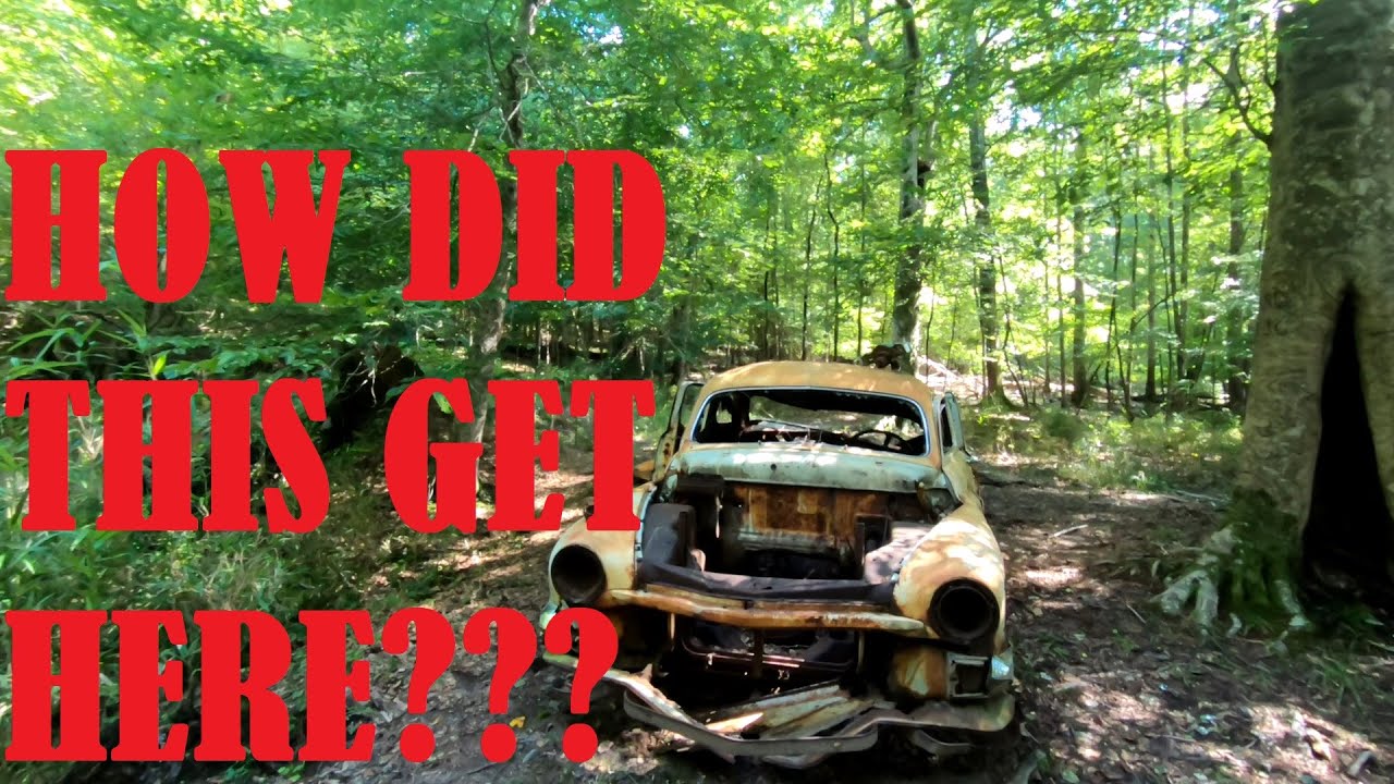 Rusting Relics: Vintage Cars Hidden in the Woods Near Flint River