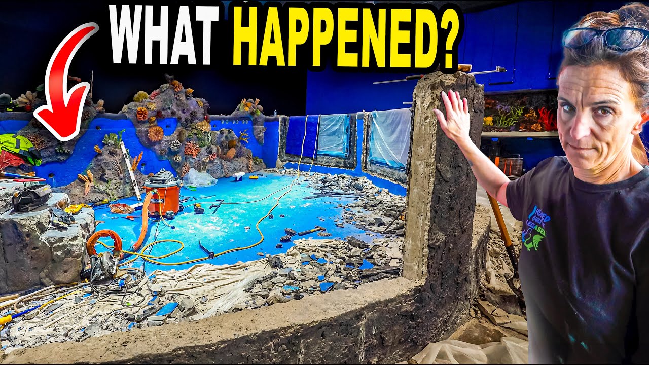 Someone Destroyed Our Aquarium?