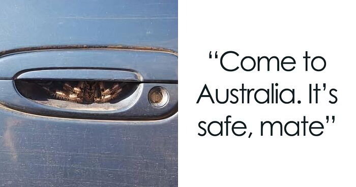 49 Animals That Would Be Nightmare Fuel To Non-Australians