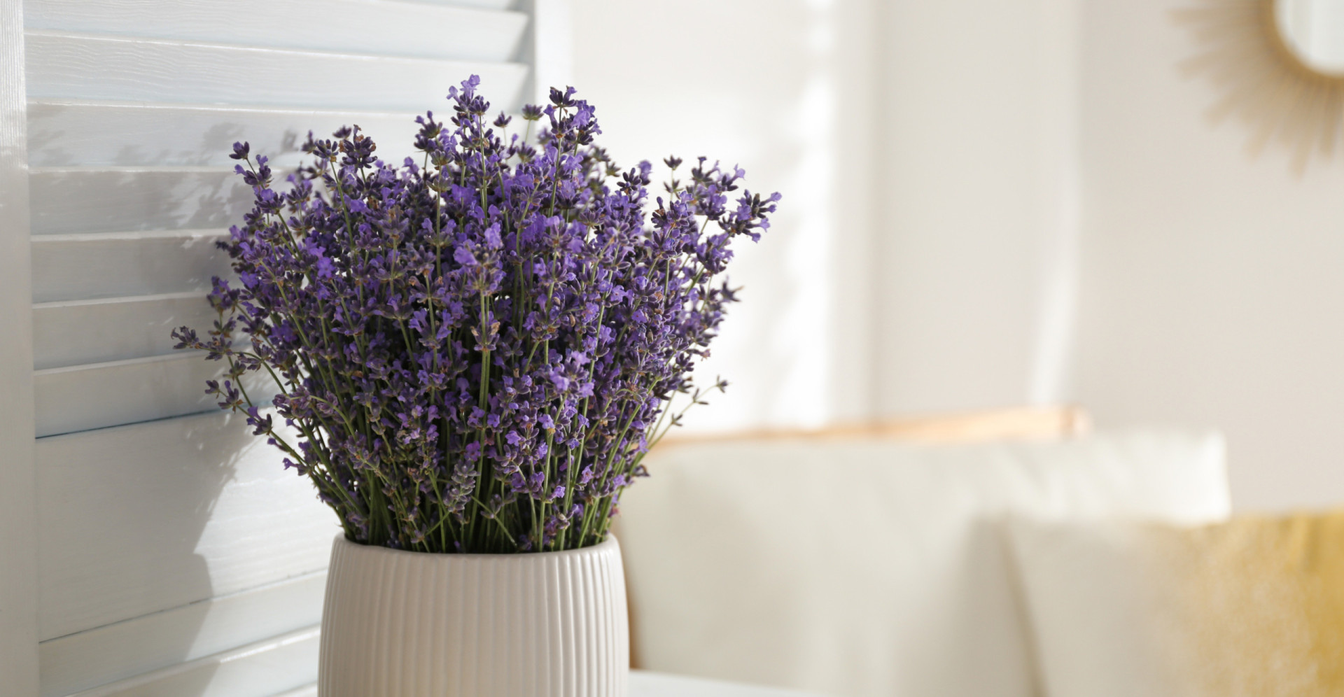 How to keep your home fly-free