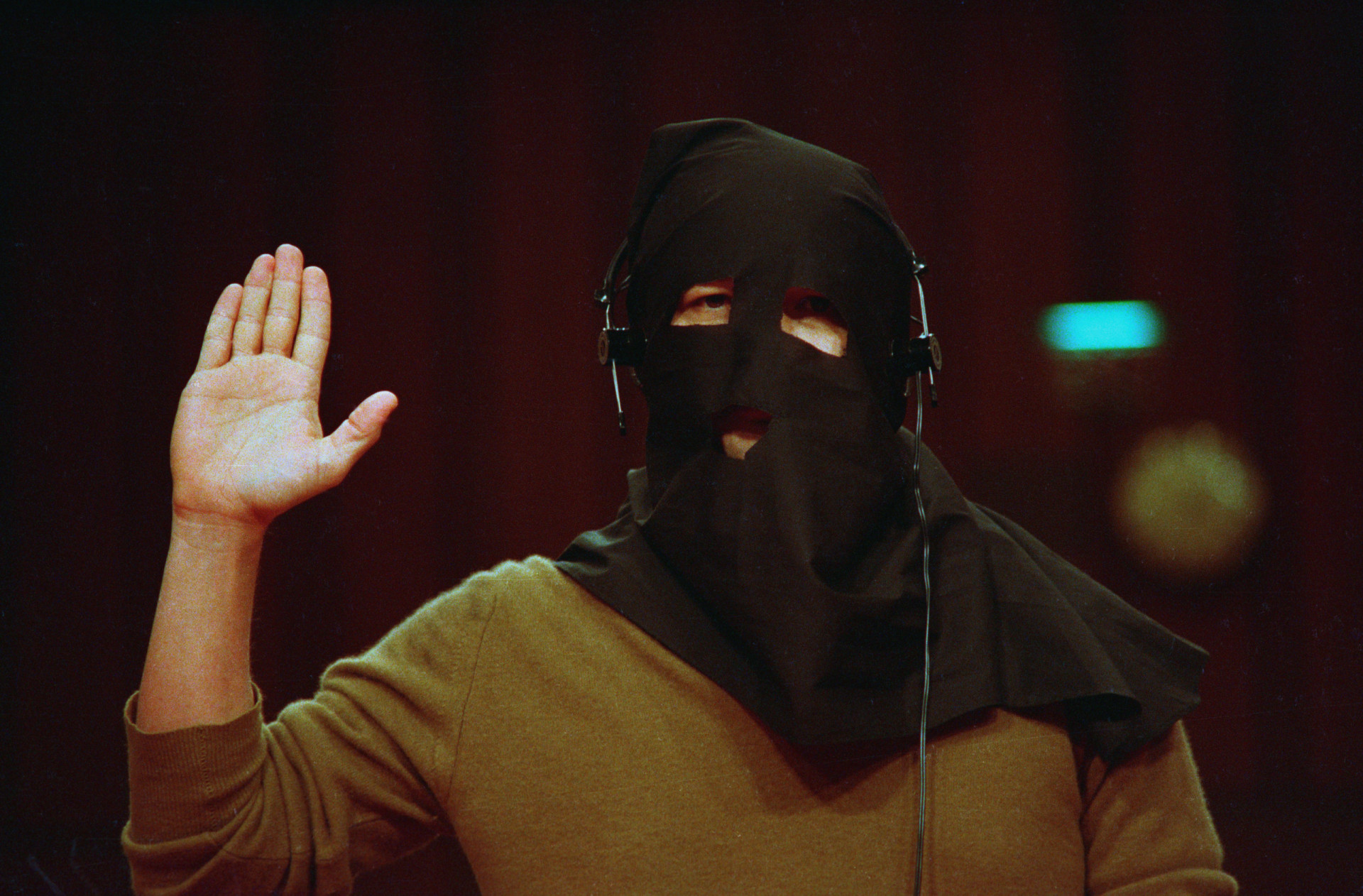 Which famous criminals ended up in the Witness Protection Program?