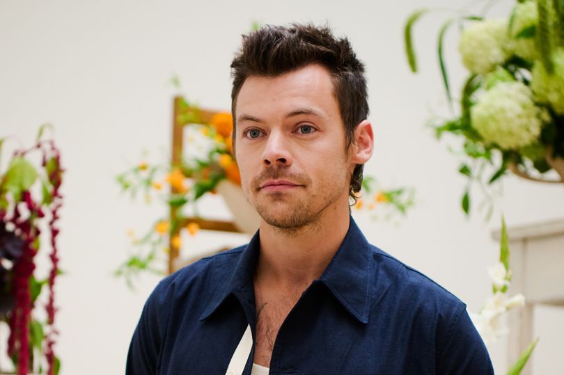 Harry Styles spotted welcoming new Pope Leo XIV in Rome as everyone ...