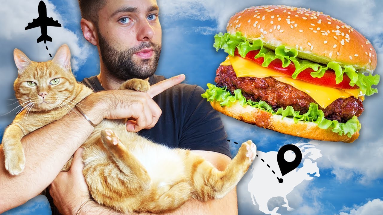 Rating Fast Food While Rescuing my Cat from China