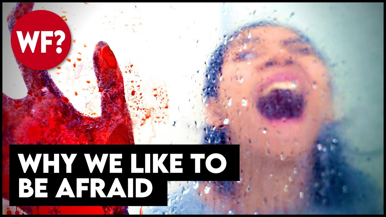 Why We Like to Be Scared | Do You Enjoy Fear? This video will scare you.