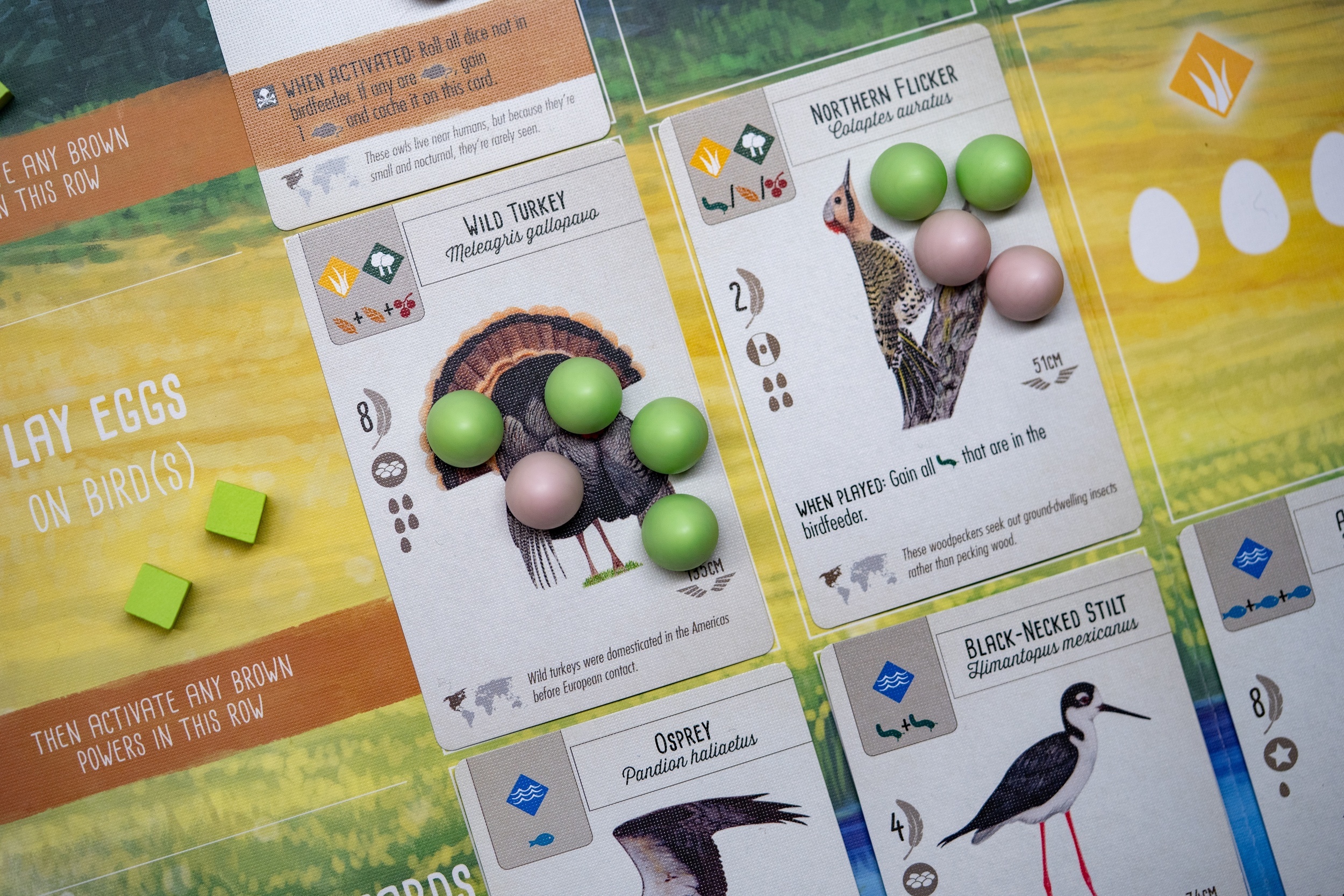 20 truly bizarre board games you have to see to believe