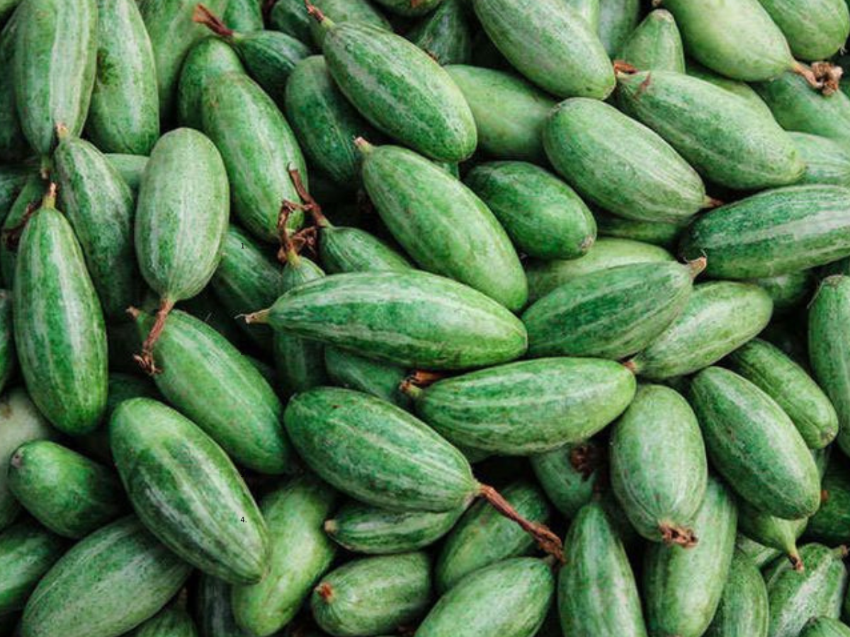 7 reasons why parwal is the ultimate summer vegetable