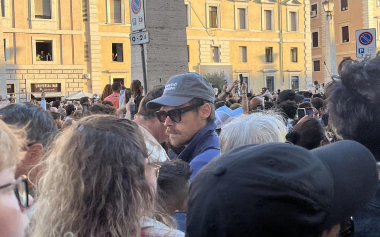 Harry Styles fans can't get over his shock journey to greet new Pope