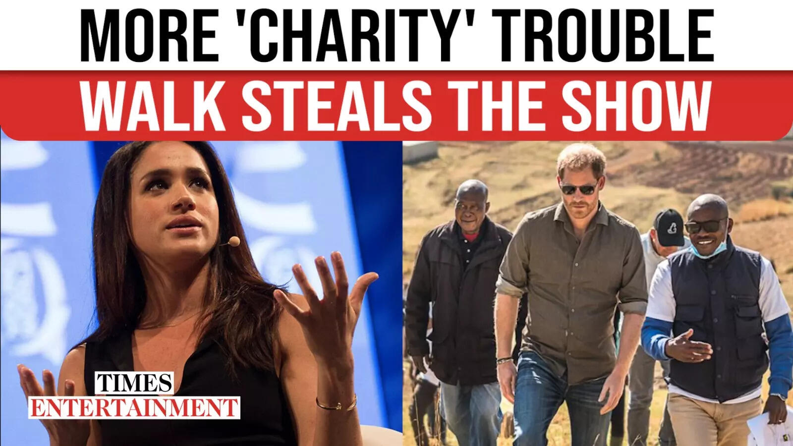 Prince Harry’s Charity In Crisis? 'African Parks' Allegedly Linked To ...