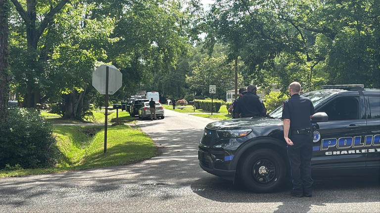 Man facing charges in West Ashley robbery