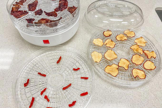 The Best Food Dehydrators of 2025, Tested by the Taste of Home Kitchen