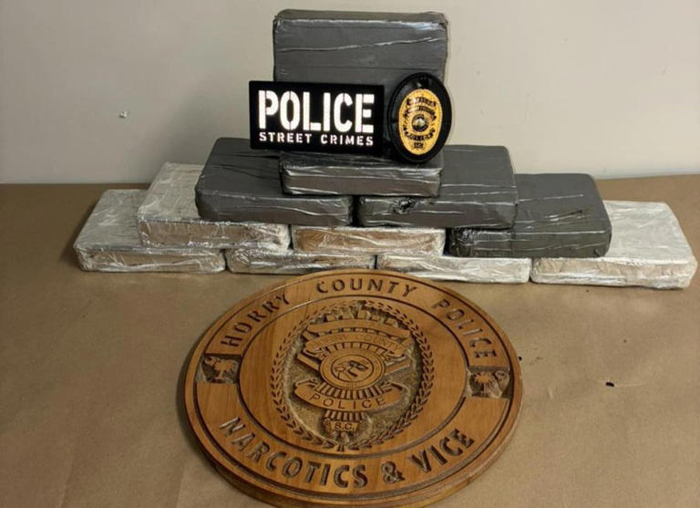 Horry County authorities seize 25 pounds of fentanyl after pursuit ...