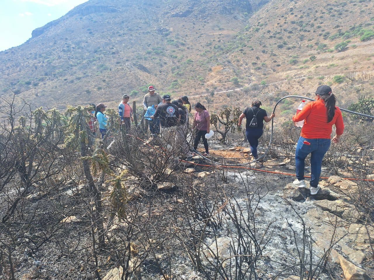 Municipio de Peñamiller se dice listo para atención de incendios ...