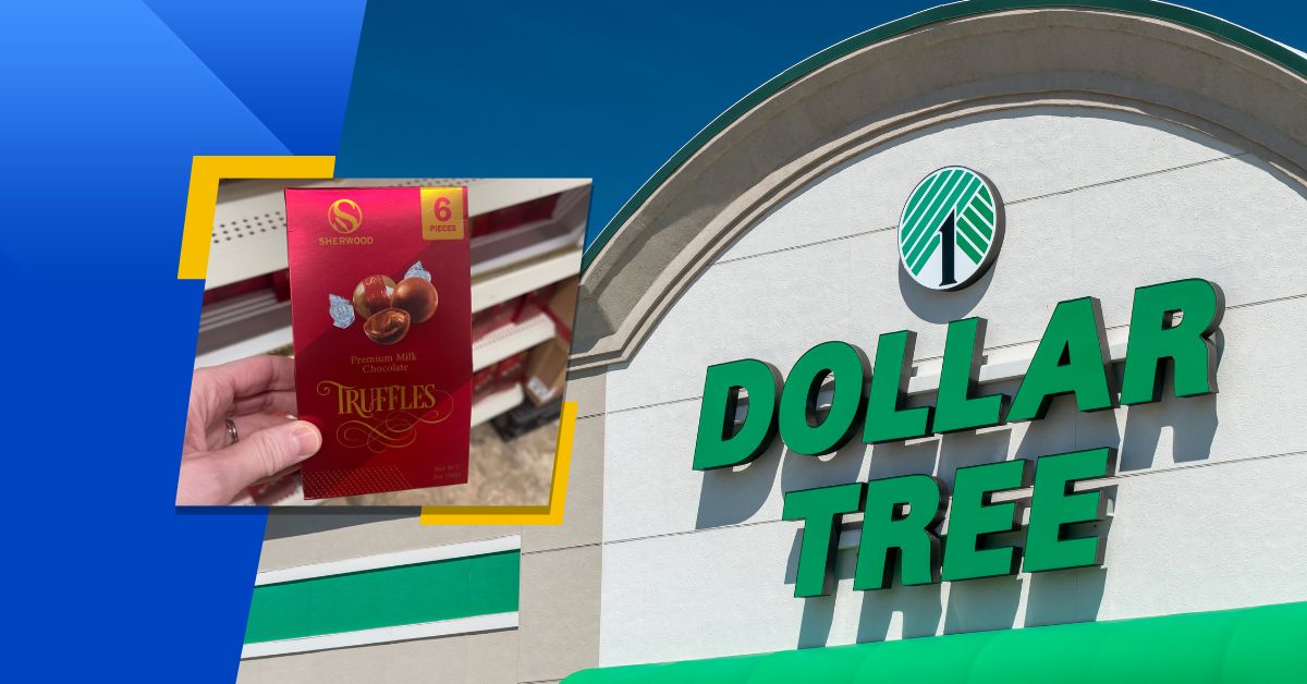 15 Dollar Tree Items That Look More Expensive Than They Are