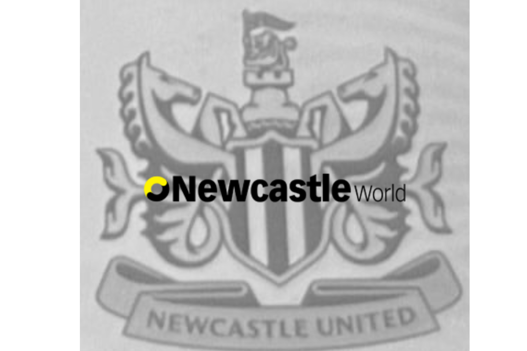 Newcastle United club badge change - executive gets green light after ...