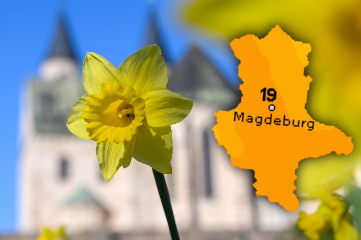 Sachsen-Anhalt freut sich auf sonniges Wetter am Wochenende