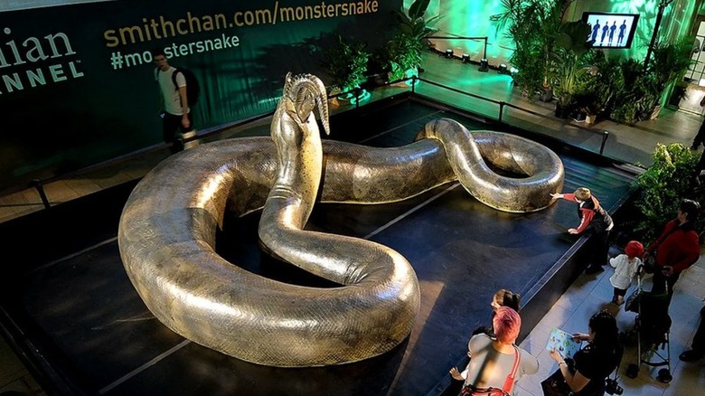 The Largest Snake Discovered In The World So Far Was Massive And Had A ...