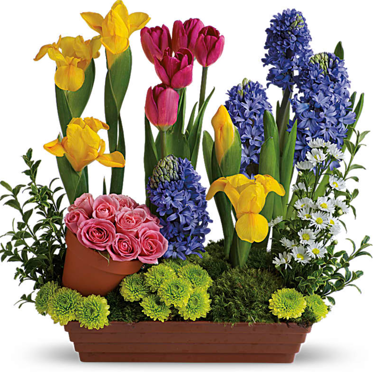 Mother's Day tariff trouble: Flower costs rising with 80% of cut ...