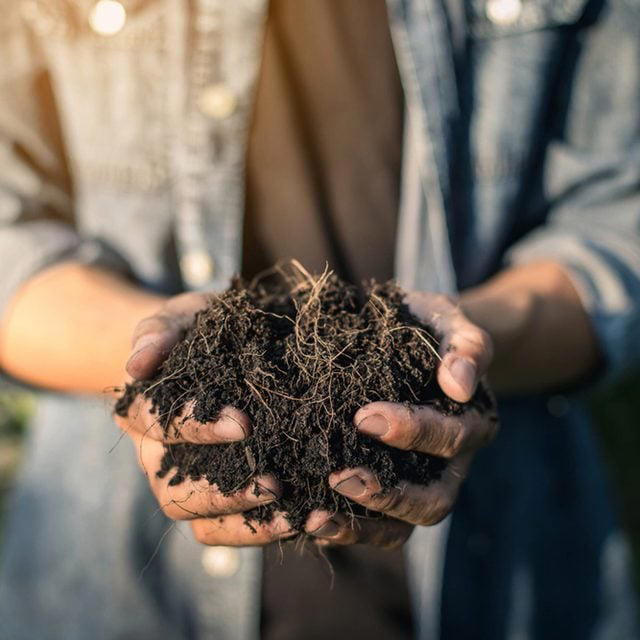 10 Balcony Gardening Tips