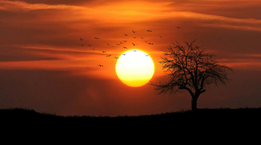 Can Kabbalah Be The Key To Transforming Your Life? - Dear Media