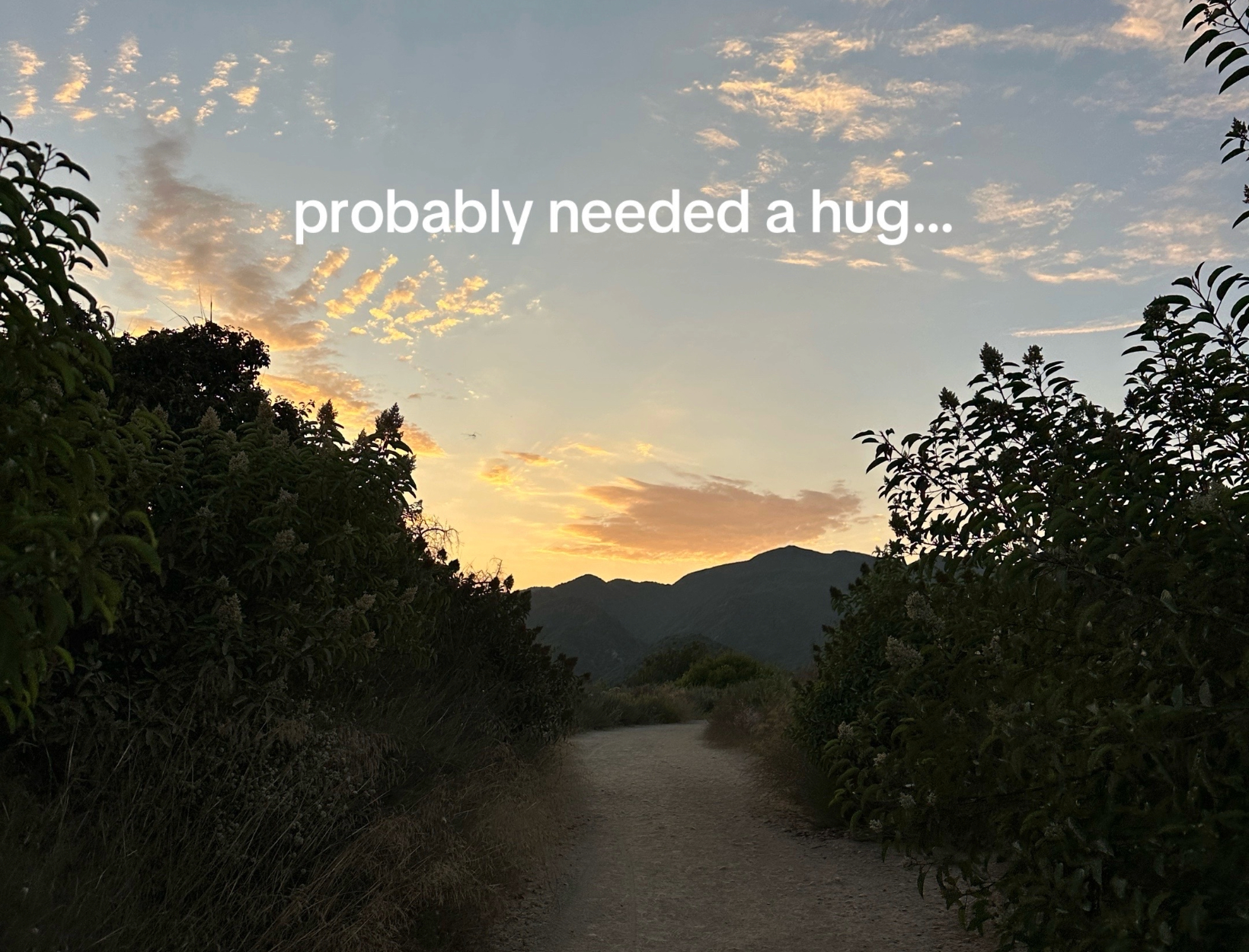 Why Is Everyone Admitting They Need A Hug On TikTok? - Dear Media