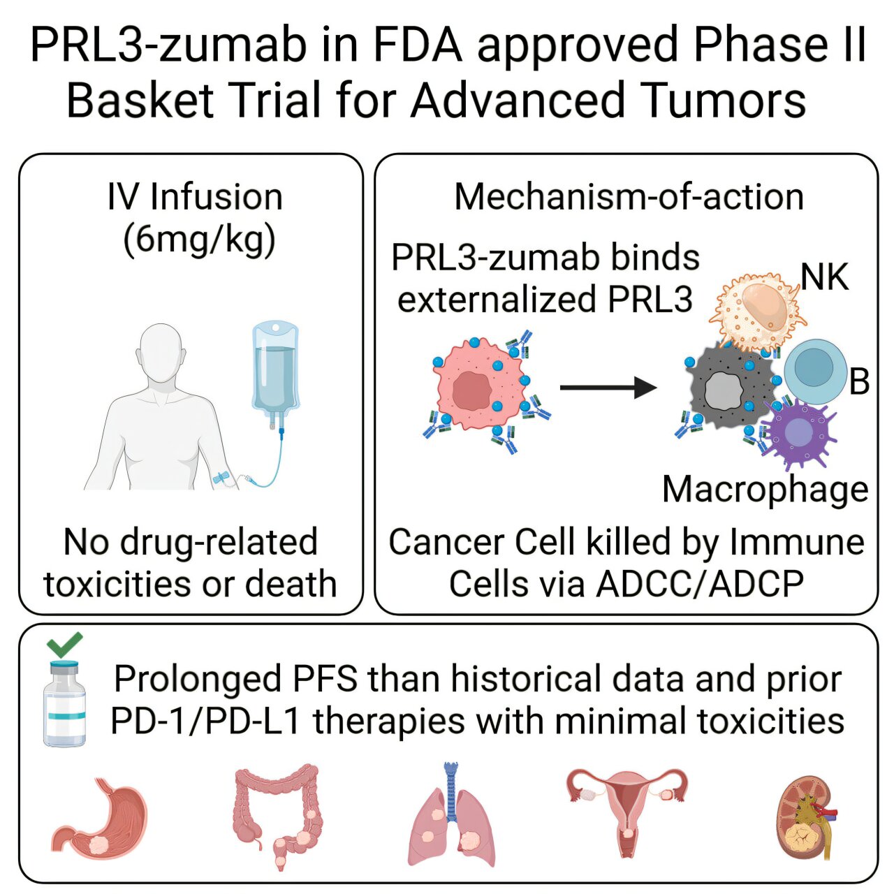 Novel cancer immunotherapy offers new hope for late-stage cancer patients