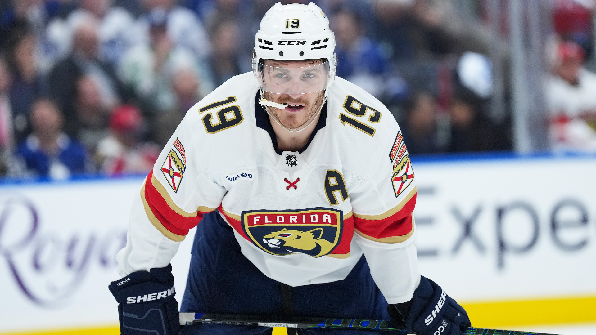 Panthers vs. Leafs Tonight: Odds and Game Strategy