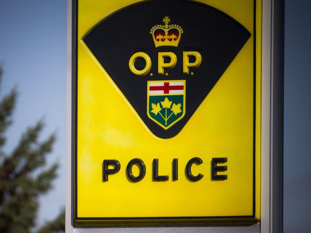 OPP looking for witnesses, video in suspected animal attack in Quadeville