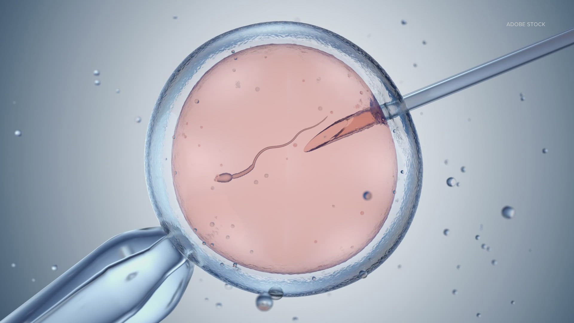 Federal cuts put CDC's IVF clinic monitoring system in question: HealthLink