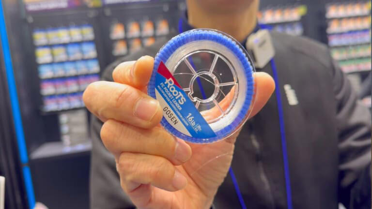 Rep. Paul Dyson gives update as legislative session approaches its end