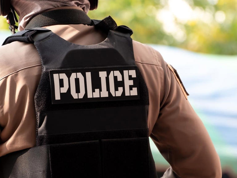 Novato Police Arrest Murder Suspect Following SF Shooting: Police