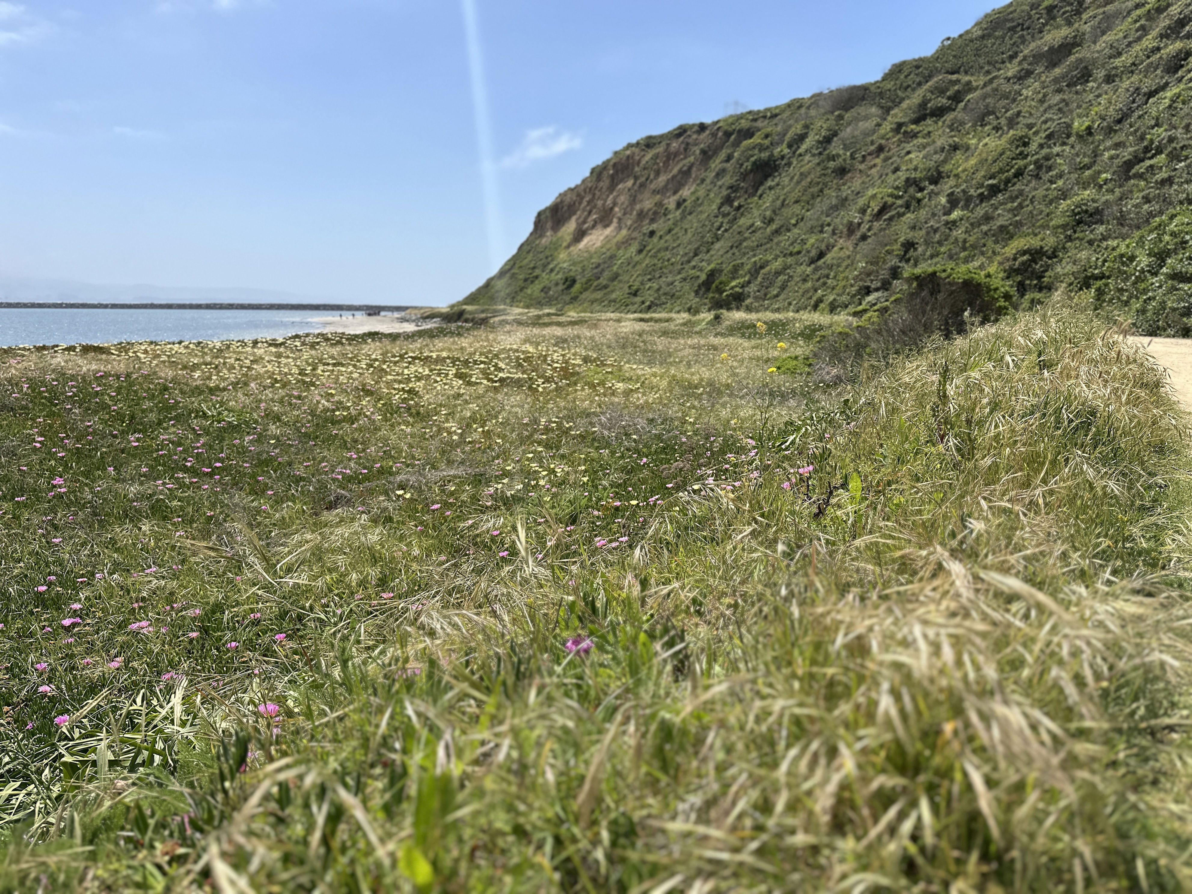 Day Trip to Half Moon Bay | 6 Great Things to Do