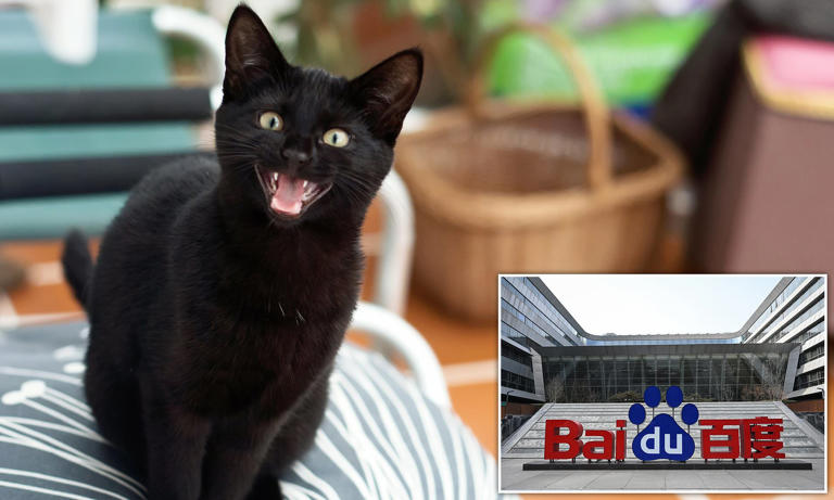 What's your pet saying? AI could help translate animal sounds into words