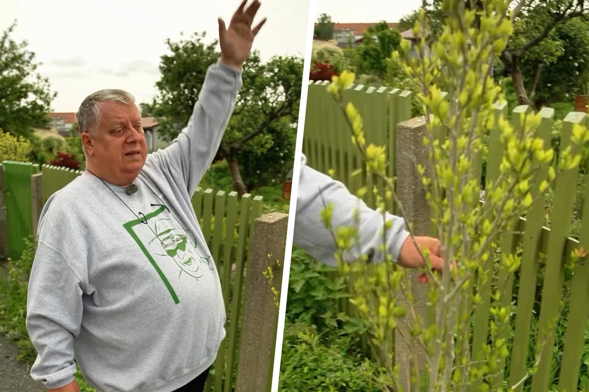 Sächsischer Gartensheriff genervt von seinen Laubenpiepern: "Sieht aus ...