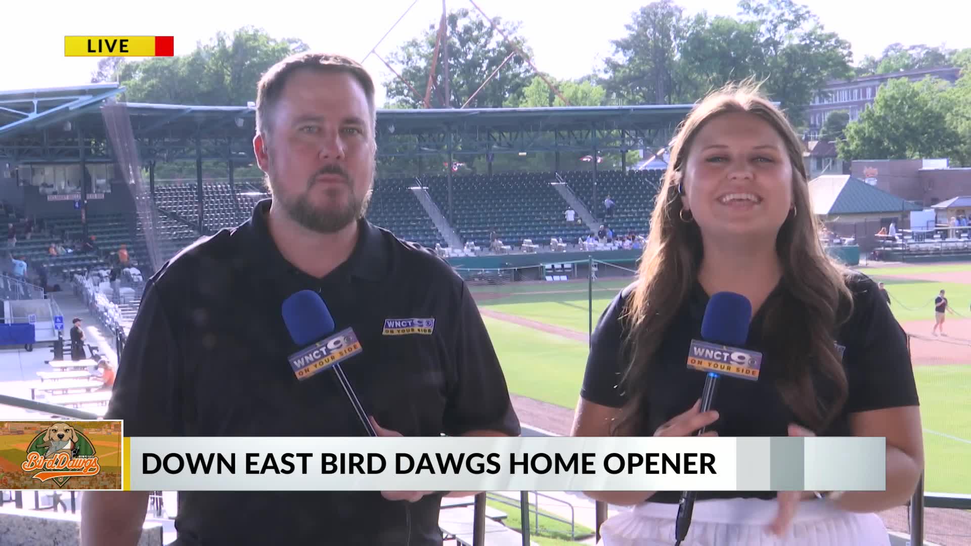 Kinston Downeast Bird Dawgs Set Up